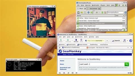 [icewm] My Ascent Into Insanity Scrolller