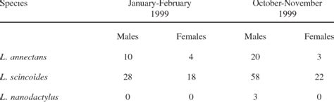 Sex Frequencies In Samples Of Leposoma Scincoides L Annectans And L Download Table