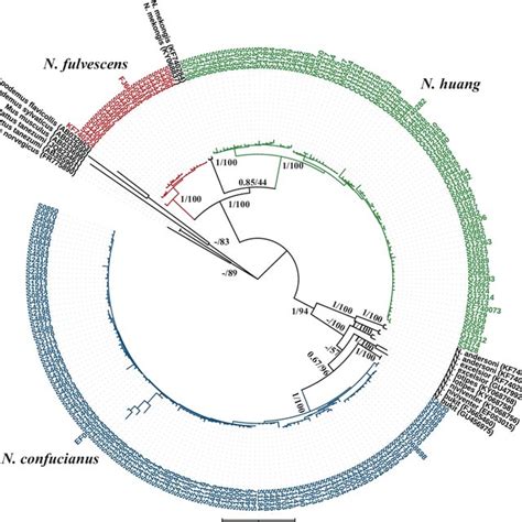 Principal Component Analysis Of External Measurements A Skull Download Scientific Diagram