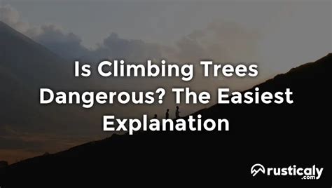 Is Climbing Trees Dangerous Complete Easy Answer