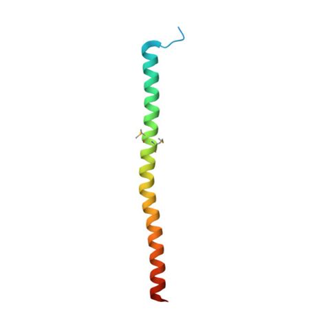 Rcsb Pdb 1wq6 The Tetramer Structure Of The Nervy Homolgy Two Nhr2 Domain Of Aml1 Eto Is