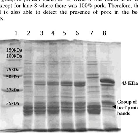 Location Of Australian Typical Cattle Farms And Beef Cattle Density