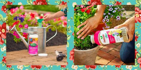 12 Best Flower Fertilizers 2024 Best Fertilizers For Flower Beds