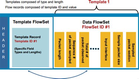 Cisco Catalyst 4948e Netflow Litenflite In Detail Router Switch Blog