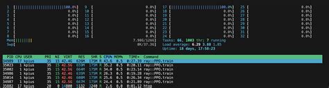 All Ray Resources Mapped To Only Two Physical Processors Configure Algorithm Training