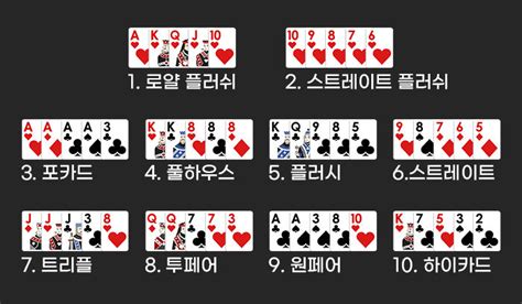 대한민국 대표 홀덤 게임 Wpl