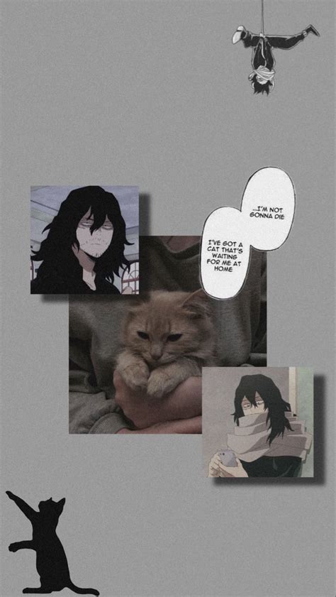 Aizawa Cat Wallpaper