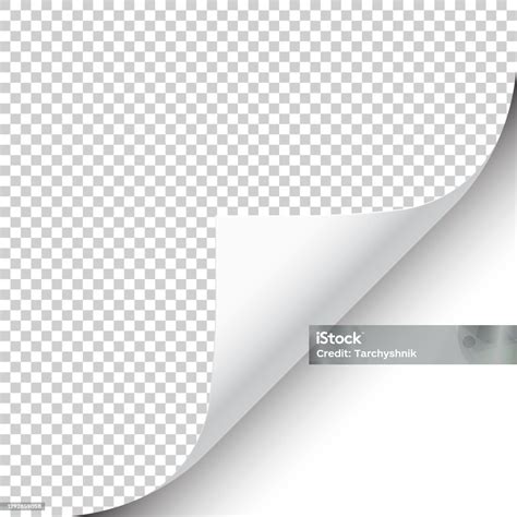 투명한 배경에 그림자가 있는 말린 페이지 코너 용지 한 장 벡터 일러스트레이션 가장자리에 대한 스톡 벡터 아트 및 기타 이미지 가장자리 각도 굽은 Istock