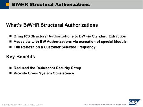 157265792 Advanced Features Of SAP BW Reporting Authorizations Pdf Cloud Computing Internet