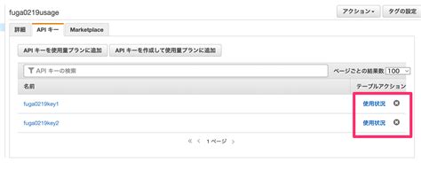 Amazon API Gateway のキャッシュを有効化した時に API キーの使用量がどのように算出されるか検証してみた DevelopersIO
