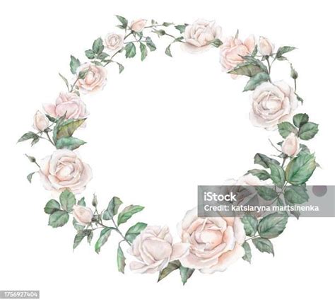 수채화 백차 장미 화환 손으로 그리는 그림 격리된 흰색 배경 꽃 클립아트 디자인 청첩장 기념일 생일 엽서 인사말 개체 그룹에 대한 스톡 벡터 아트 및 기타 이미지 Istock