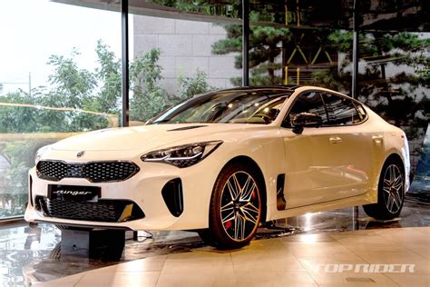 스팅어 마이스터 출시 가격은 3853만원부터 탑라이더