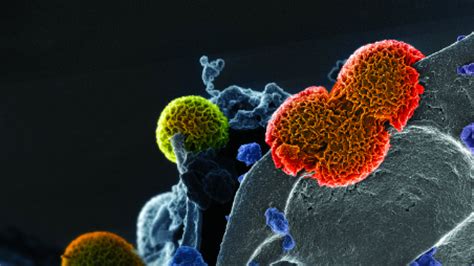 Openai Gpt 3 Chat Bot Create Whatsapp Chat Bot Using Openai