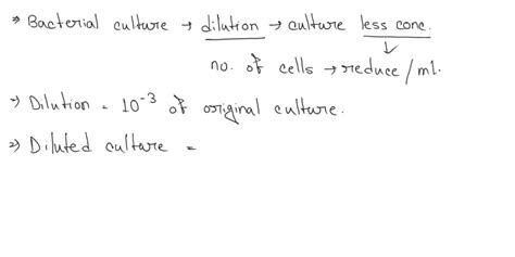 Four New Babes Are Learning How To Count Bacteria Colonies They All Count The Same Plate