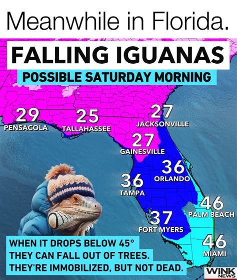 Gotta Love Florida Album On Imgur