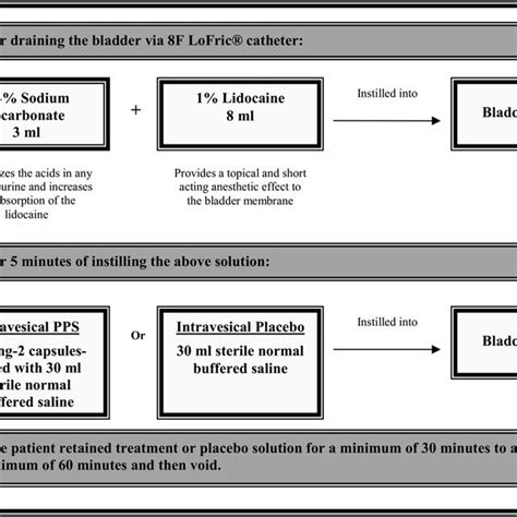 Procedure For Intravesical Instillation Process Of Treatment Or Placebo