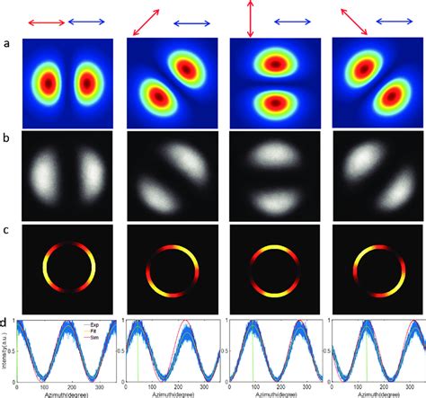 Numerically Calculated And Experimentally Obtained Results For The Download Scientific Diagram