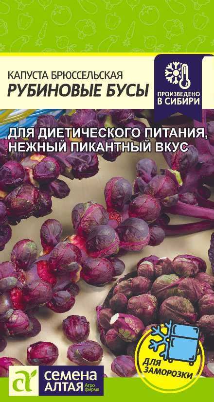 Капуста