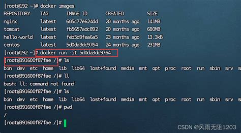 Docker在linux上的安装与使用（亲测）linux风雨无阻1203 Linux