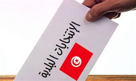 138 قائمة لم تحترم مبدأ الشفافية في الانتخابات البلدية 2018