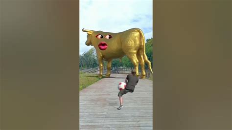 ষাঁড় Vs মানুষের লড়াই🤪😲bangla Funny Video Shorts Youtubeshorts Funny Bangla ষাঁড় Vs মানুষের