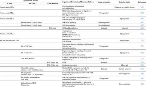 Overview Of Sex Differences In The Experimental Models Of CAVD And LVH Download Scientific