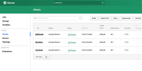 Building Hashicorp Nomad Cluster In Vultr Cloud Using Terraform Dev Community