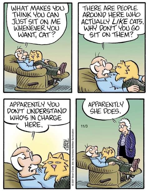40 Hilarious Cartoons I Created Convey The Message With Little To No