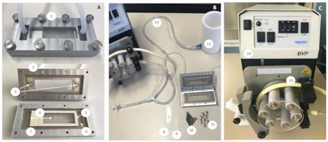 Image Of A Newly Developed Flow Chamber System In House Design By The
