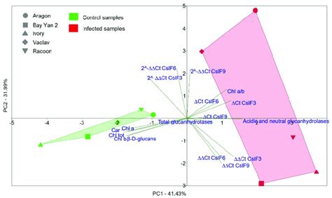 The Principal Component Analysis Pca Constructed From All Measured