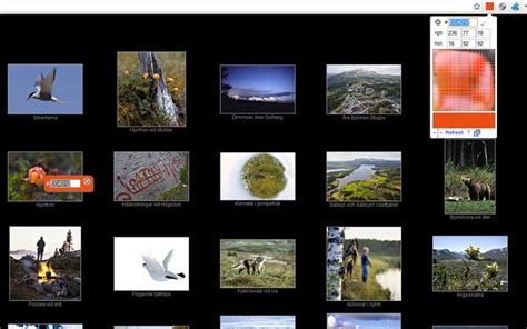 Colorpick Eyedropper Get This Extension For 🦊 Firefox En Us