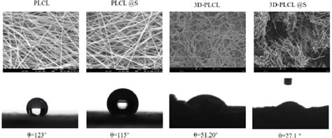 The Microstructures And Contact Angle Of Plcl Aerogel Scaffold With Download Scientific Diagram