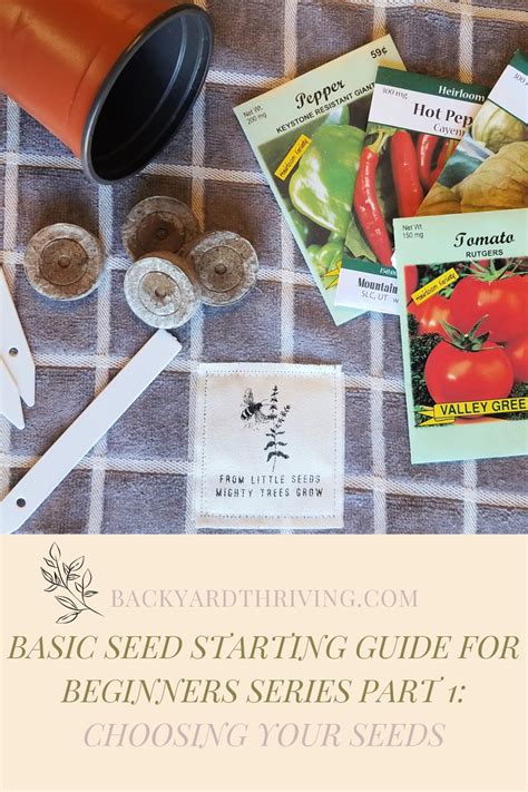 Basic Seed Starting For Beginners Part 1 Choosing Your Seeds Seed