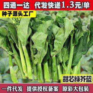 甜芯绿芥蓝种子甜脆芥兰种籽柳叶白花菜心菜苔籽四季阳台蔬菜种子 阿里巴巴