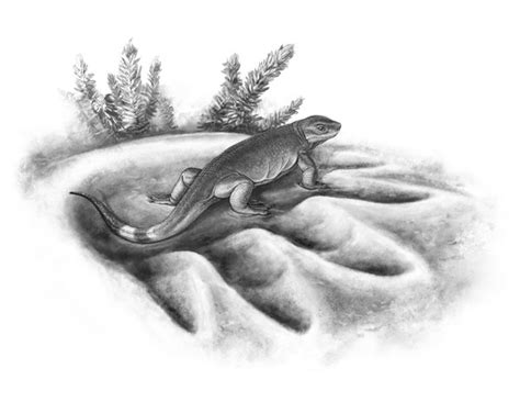 Home Danielle Dufault