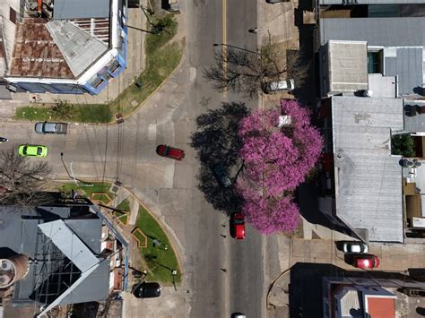 Nuevas Propuestas De Alejandra Chena Para Promover Una Movilidad Más Responsable Y Sustentable