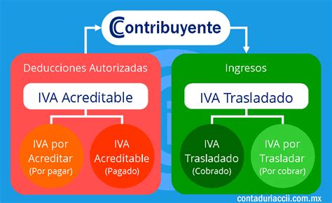 El Iva A Favor Se Considera Deudor O Acreedor En Contabilidad
