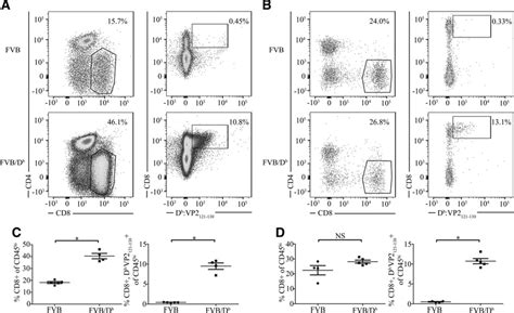 Transgenic Fvb D B Mice Present With An Enhanced Cd8 T Cell Response Download Scientific