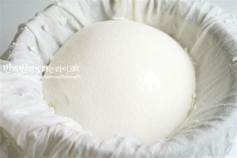 우유와 생크림으로 수제 리코타치즈 샐러드 만들기