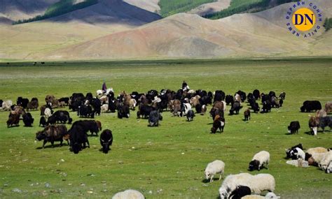 Цаг агаар болон бэлчээрийн мэдээллийг мессежээр хүлээн авах боломжтой