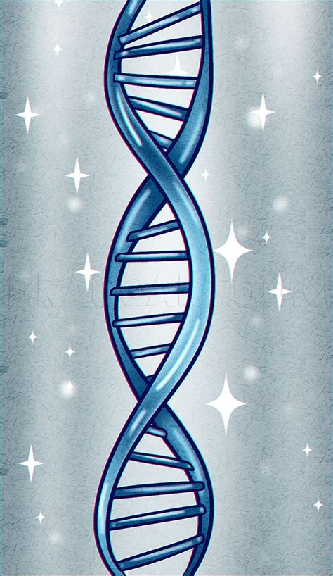 How To Draw DNA Dna Drawing Guided Drawing Drawings