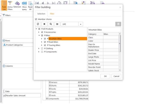 Pivot Table Filters In Ranet OLAP