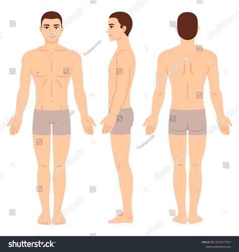 Man Body Diagram