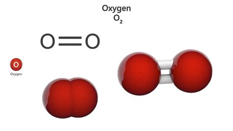 Oxygen Molecule