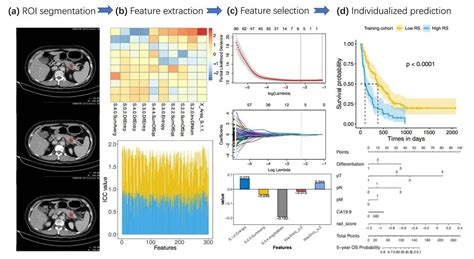 影像组学 Csdn博客