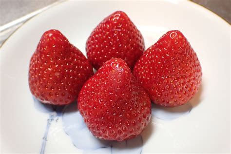 いちご 159日目 山あり花あり