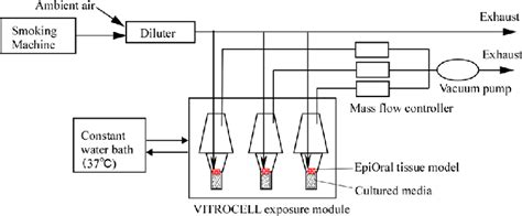 Schematic Representation Of Aerosol Generation And Exposure Module