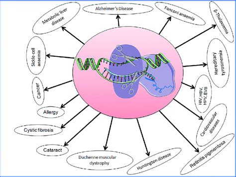 Crispr Cas9 System Dealing For Treatment Of Multiple Human Diseases