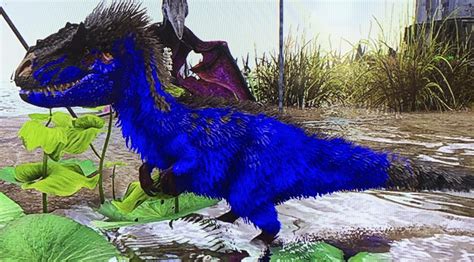 New Yuty Mutation R Ark