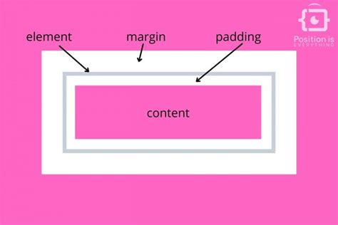 CSS Margin Vs Padding Differentiate Between Margin And Padding